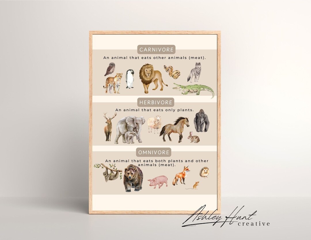 Carnivore, Herbivore, Omnivore Animal Printable, Classroom Charts ...