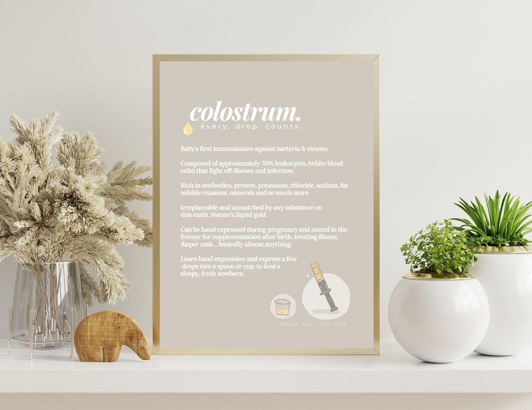 Colostrum Facts Poster: Minimalist Lactation Consultant Art (digital ...