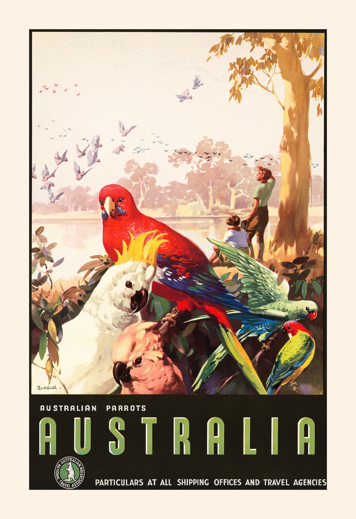 44 Vintage Australia Postcards Australia Collectable Retro - Etsy Canada