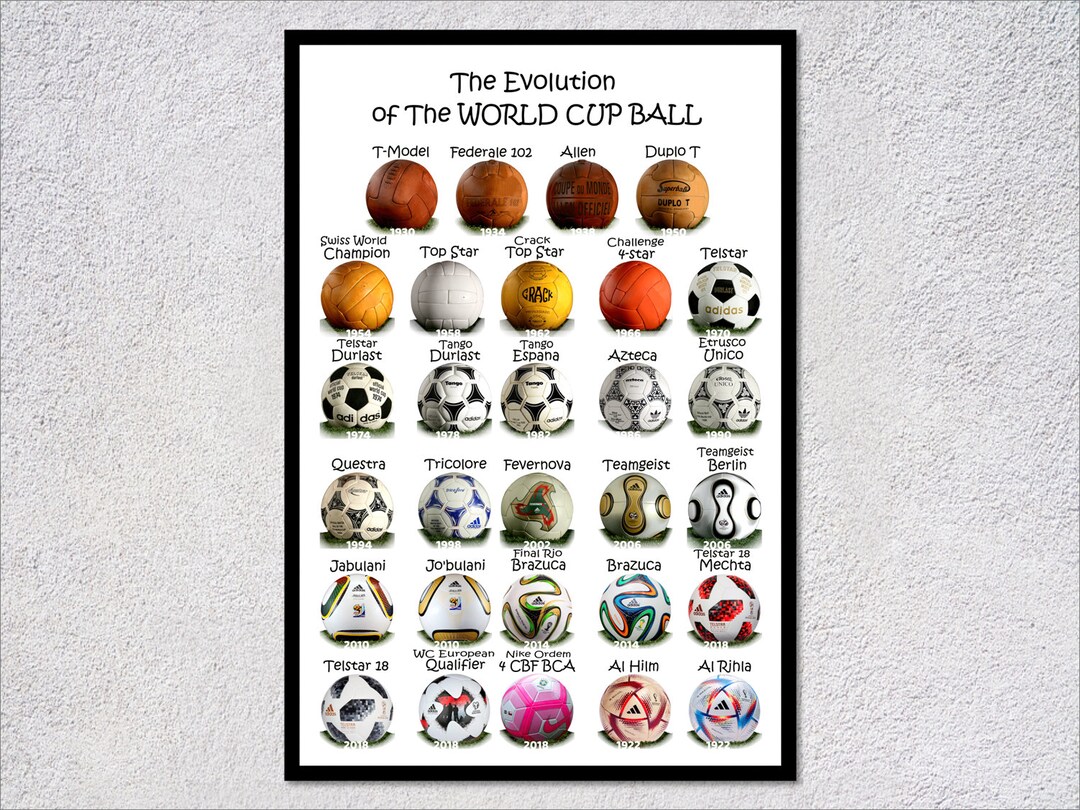 Soccer Ball Evolution Book, World Cup History, Football Fan Gift ...