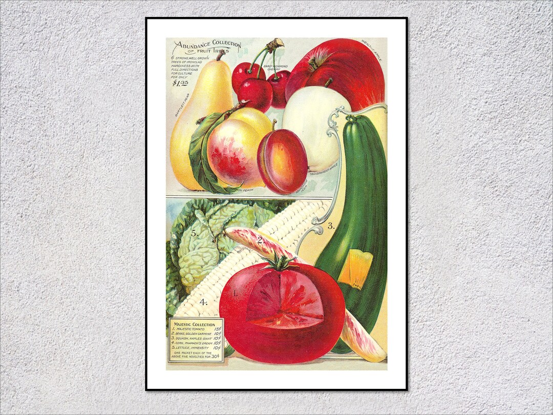 Vintage Fruit and Vegetable Poster Reproduction | Tomato Corn Cabbage ...