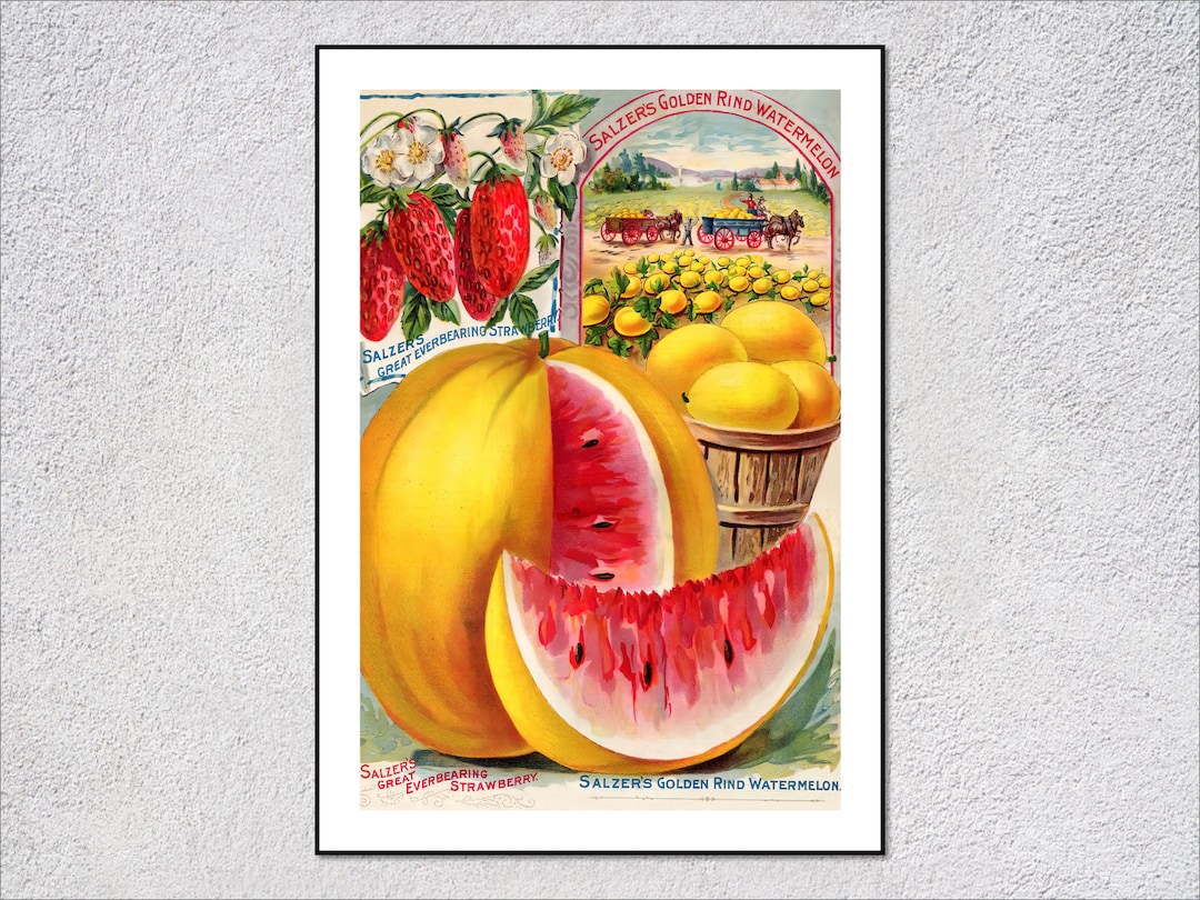 Vintage Watermelon Poster Reproduction | Rustic Strawberry and Fruit ...