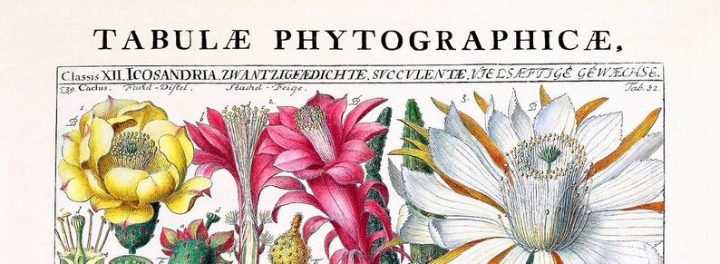 Botanical Science Wall Art Botanical Charts Posters | Etsy