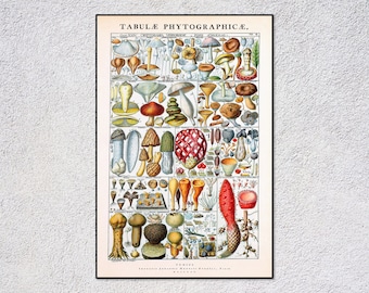 Vintage Botanical Illustration Retro Plant Poster Flowers | Etsy