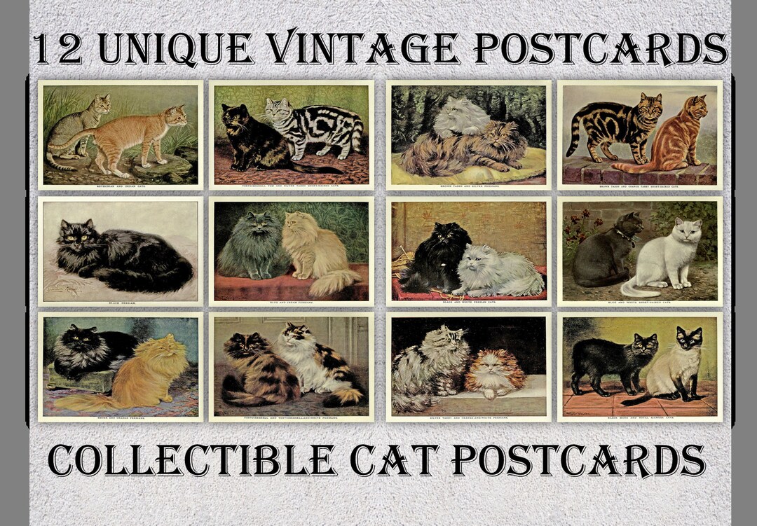 Set of 12 Vintage Cat Postcards - Antique and Vintage Postcards ...