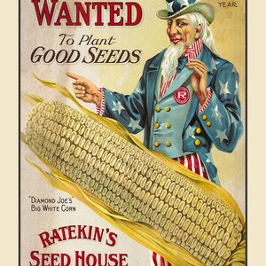 Seed Advertisements -vintage Garden Postcards - 4" X 6" or 10 X 15 Cm ...