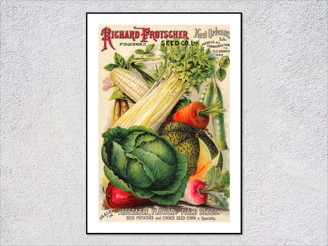 Vintage Vegetable Seed Poster | Kitchen & Farmhouse Wall Art - Etsy