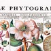 Botanical Science Wall Art Botanical Charts Posters Botanical ...