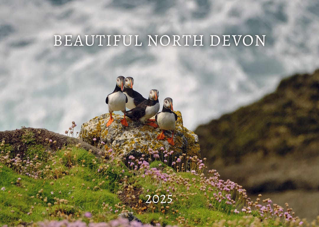 Beautiful North Devon Calendar 2025 - Etsy