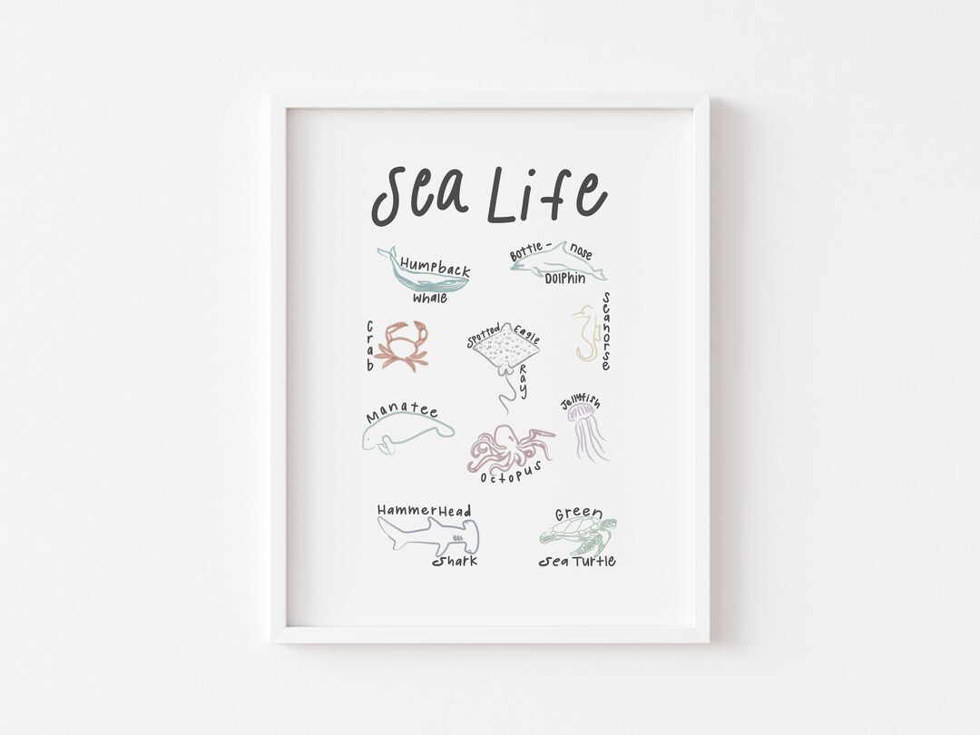 Ocean Animal Educational Poster, Printable Montessori Materials ...