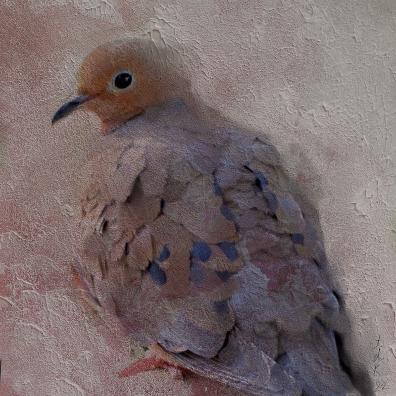Dove Art - Etsy