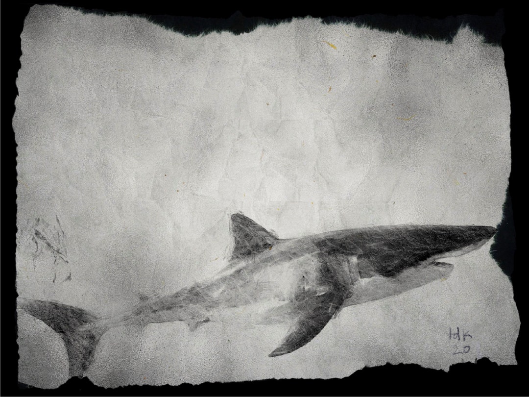 Shark Art Print, Shark Art, Art Print, Wildlife Animal Art, Gift, Shark ...