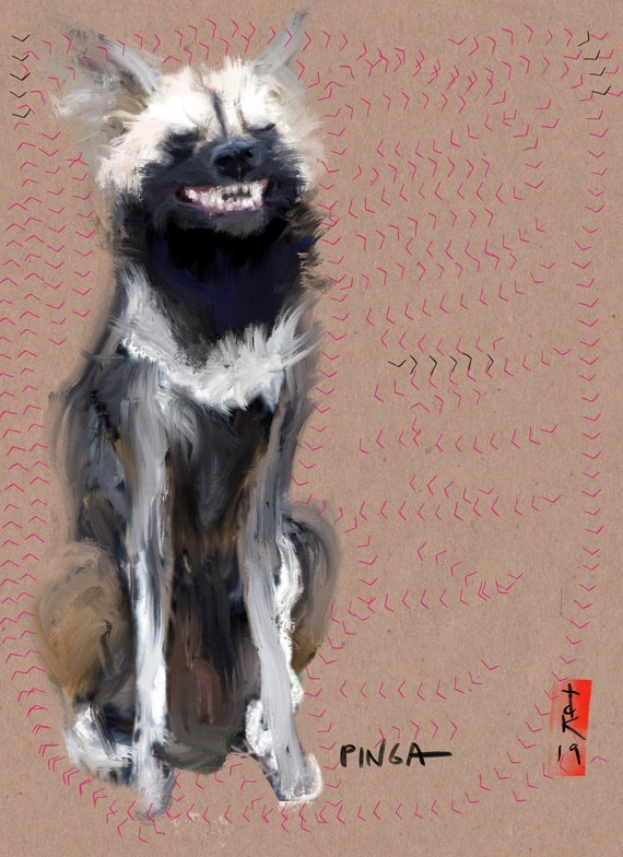 Hello This Is Dog Taken