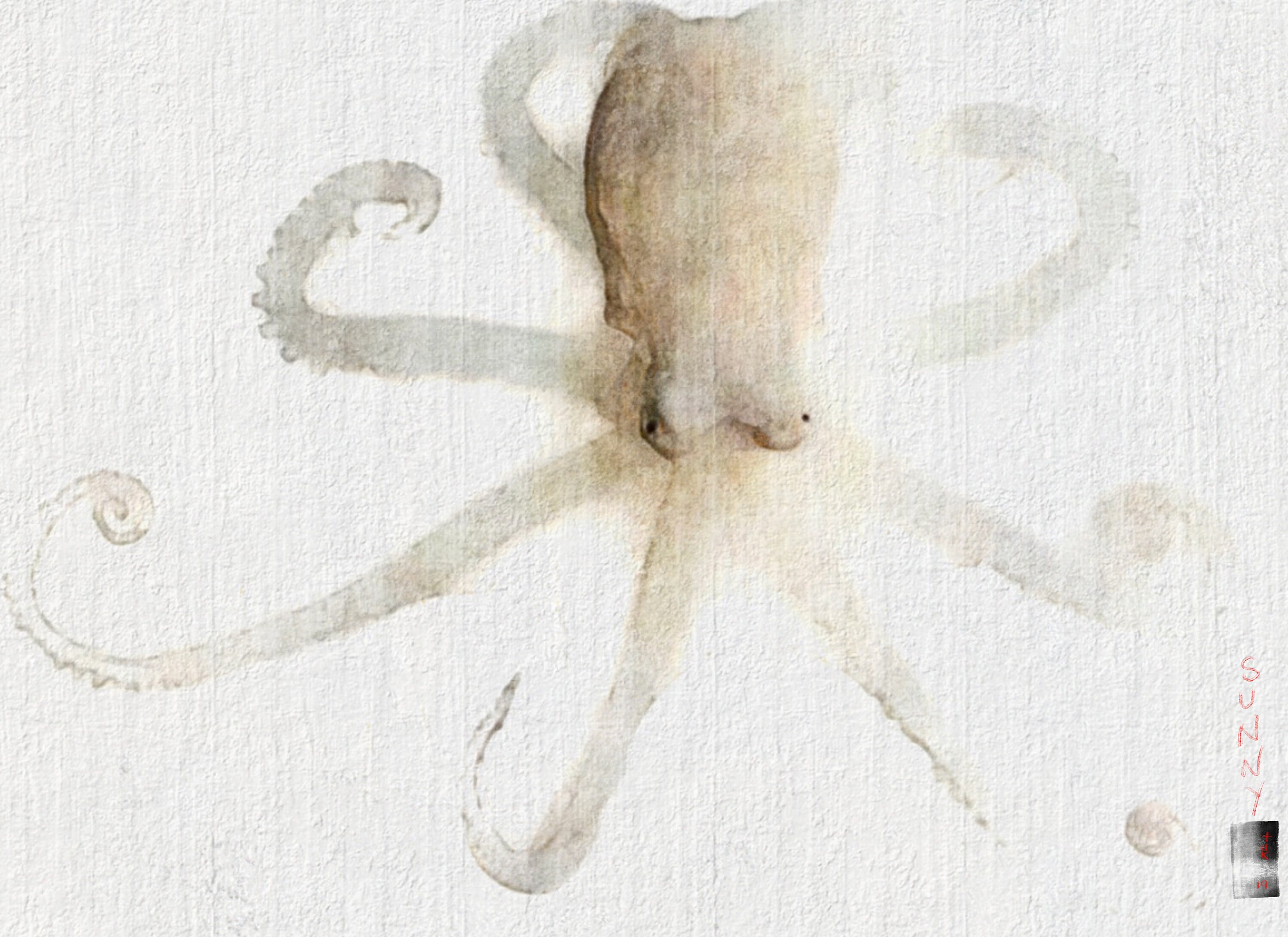 Octopus Art Print, Octopus Art, Art Print, Wildlife Animal Art ...