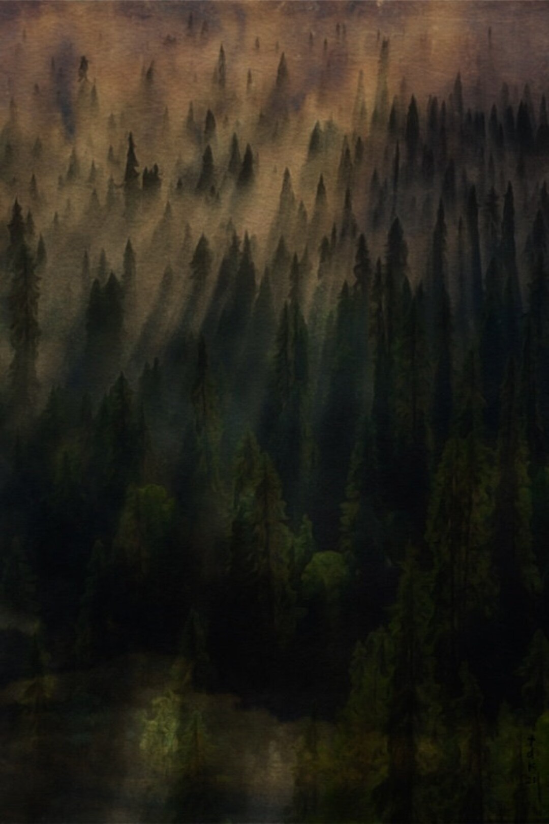 Forest Art Print, Tree Art, Art Print, Nature Art, Gift, Landscape ...