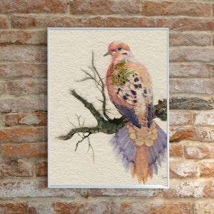 Dove Art Print, Bird Art, Art Print, Mourning Dove Art, Mourning Dove ...