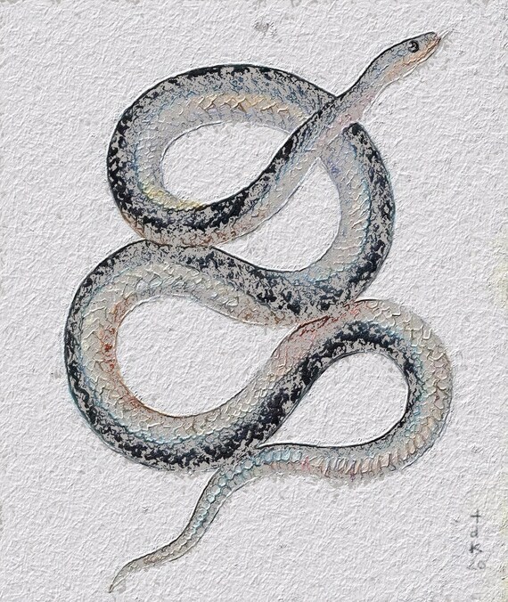 Snake Art Print Snake Art Art Print Wildlife Animal Art | Etsy