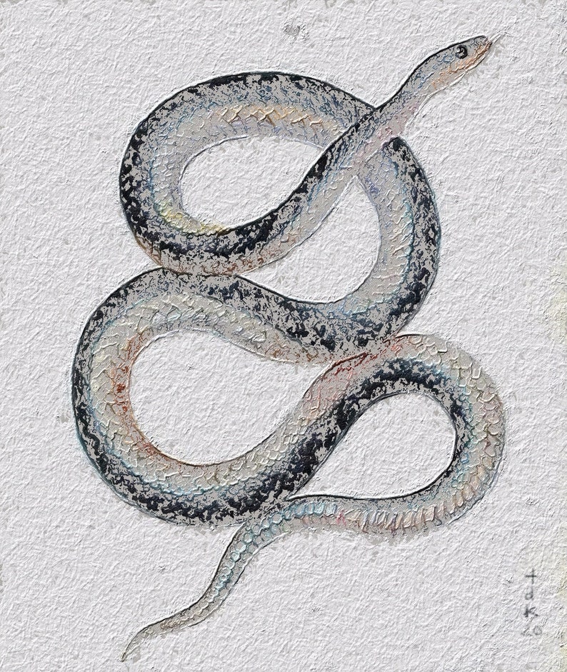 Snake Art Print Snake Art Art Print Wildlife Animal Art | Etsy