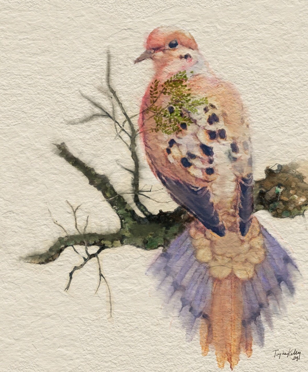 Dove Art Print, Bird Art, Art Print, Mourning Dove Art, Mourning Dove ...