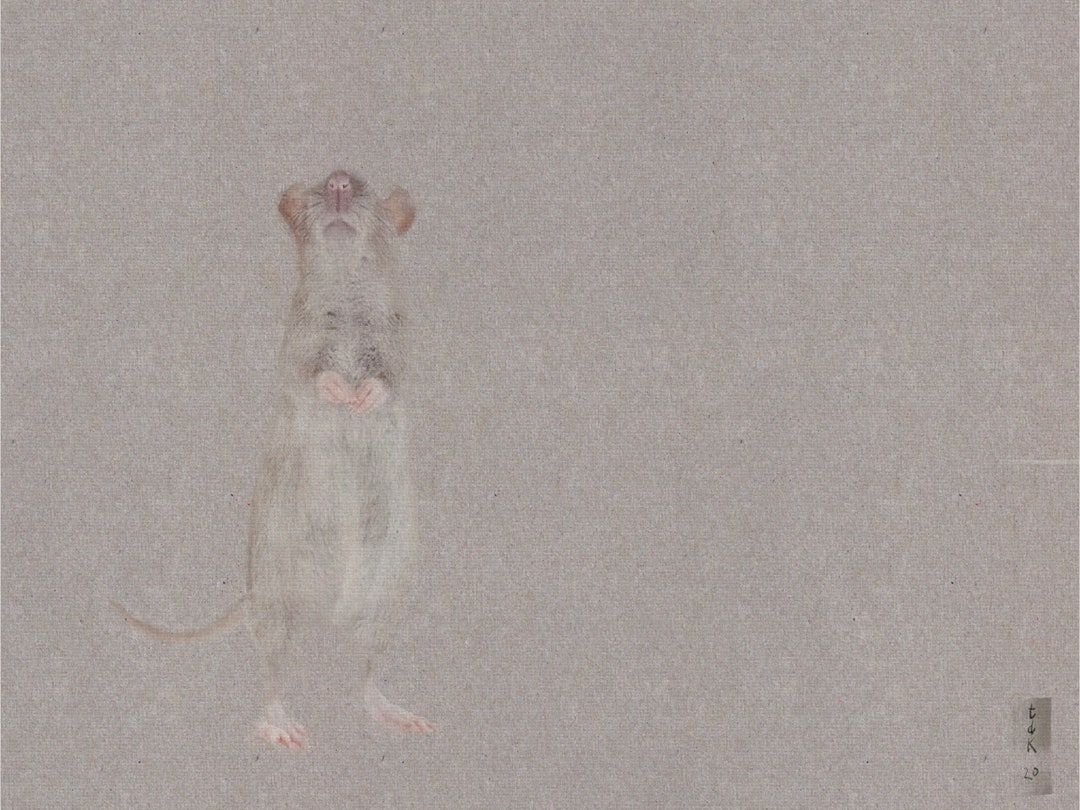 Rat Art Print, Rat Art, Art Print, Rodent Animal Art, Giclee Print, Rat ...