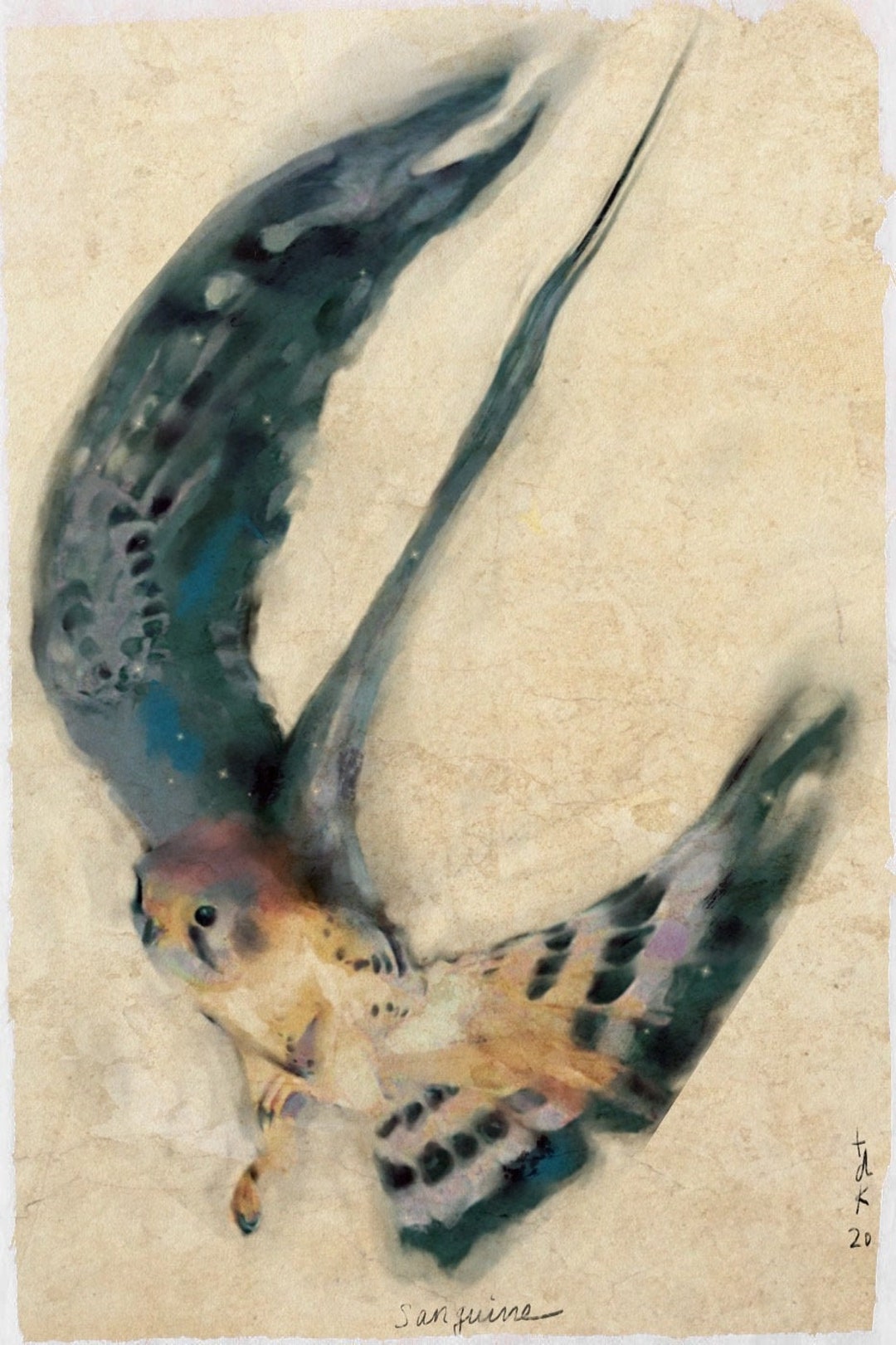 Hawk Art Print, Hawk Art, Art Print, Art, Hawk, Bird Painting, Hand ...