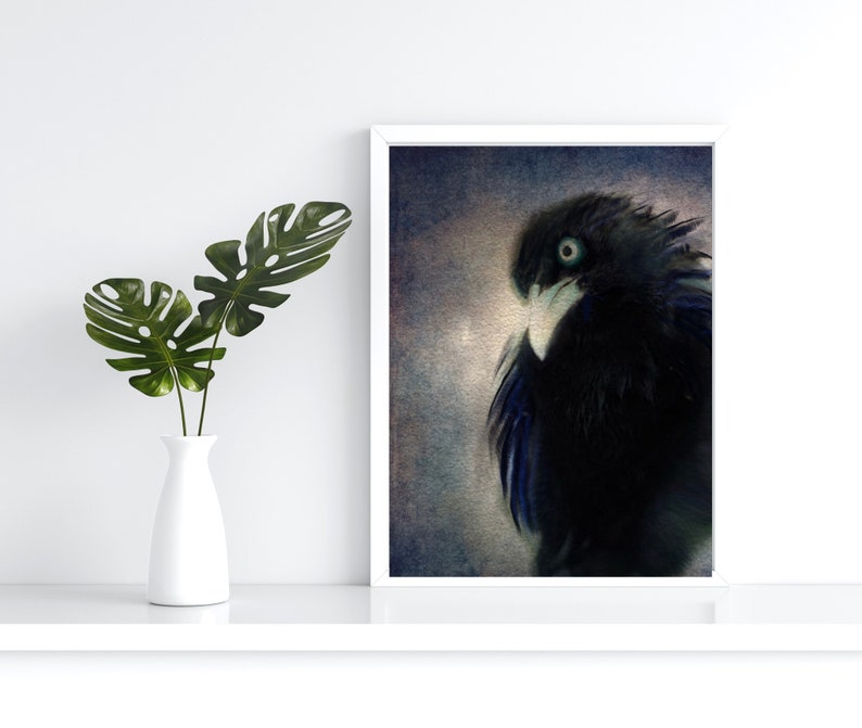 Crow Art Print Bird Art Art Print Crow Art Crow Bird - Etsy