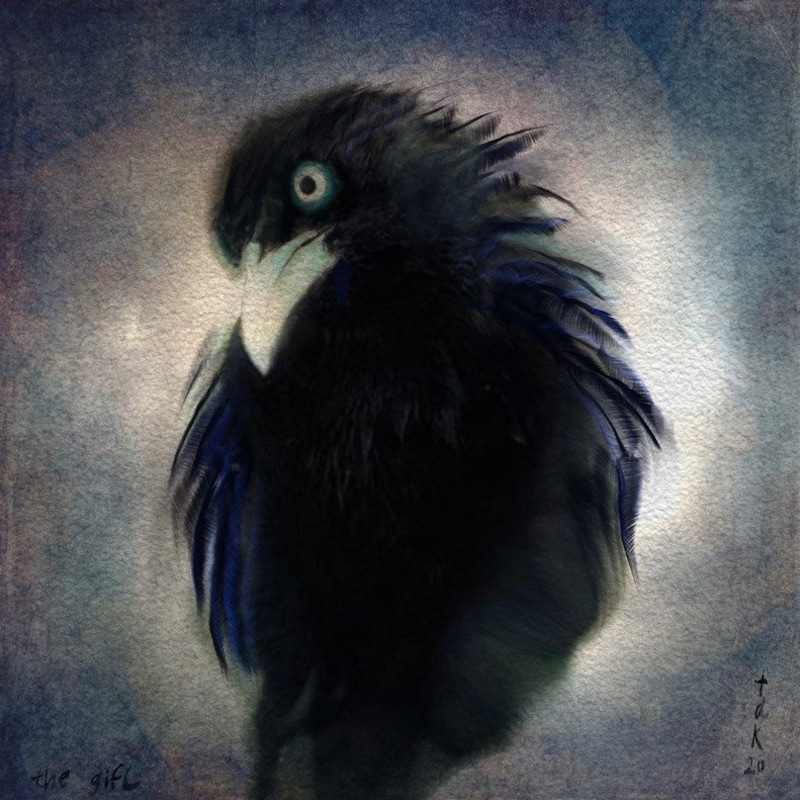 Crow Art Print - Etsy