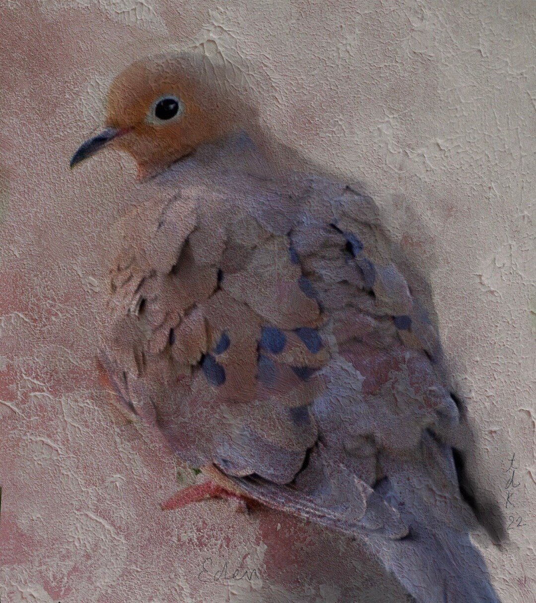 Dove Art Print, Bird Art, Art Print, Mourning Dove Art, Mourning Dove ...