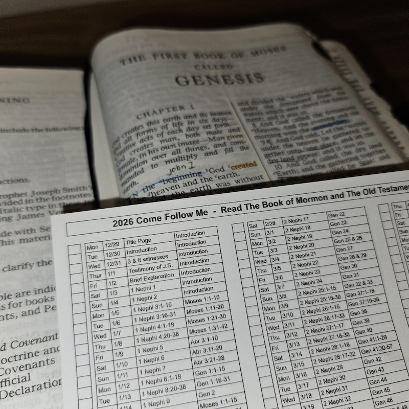 Book of Mormon Tracker Chart - Etsy UK