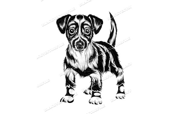 Dog in Svg PNG and JPEG EPS Files Instant Download Dog - Etsy