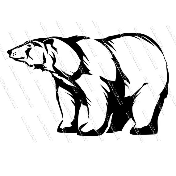 Polar Bear Svg Png and Jpeg Eps Dxf Files Instant | Etsy