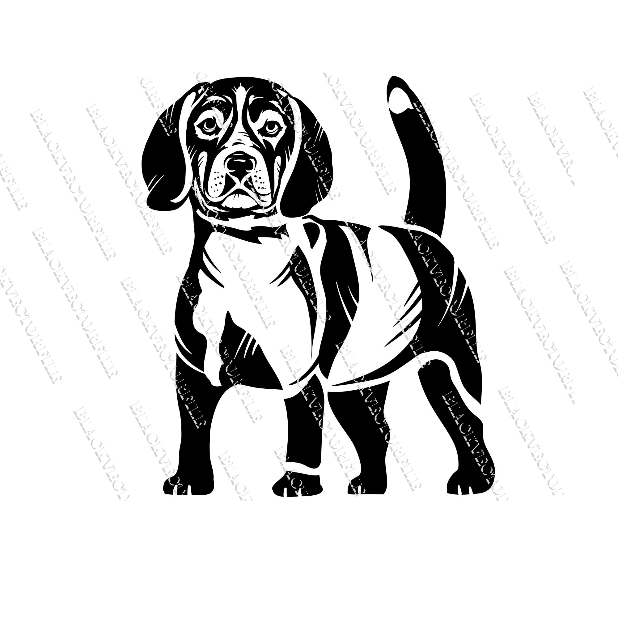 Beagle Dog Svg Png and Jpeg Eps Dxf Files Instant | Etsy