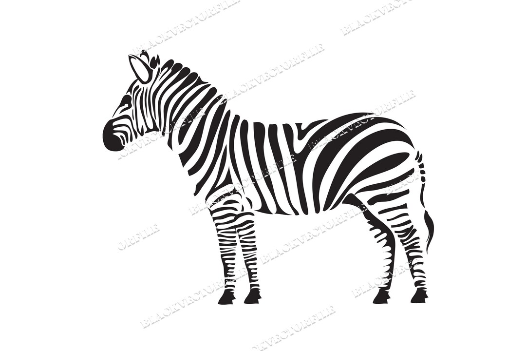 Zebra Svg, Png and Jpeg, Eps Files, Instant Download, Zebra Files ...