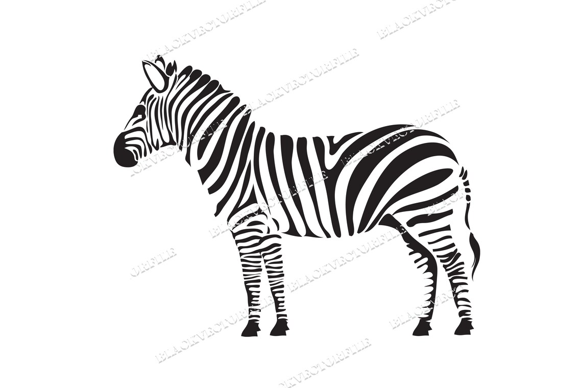 Zebra Svg Png and Jpeg Eps Files Instant Download Zebra | Etsy