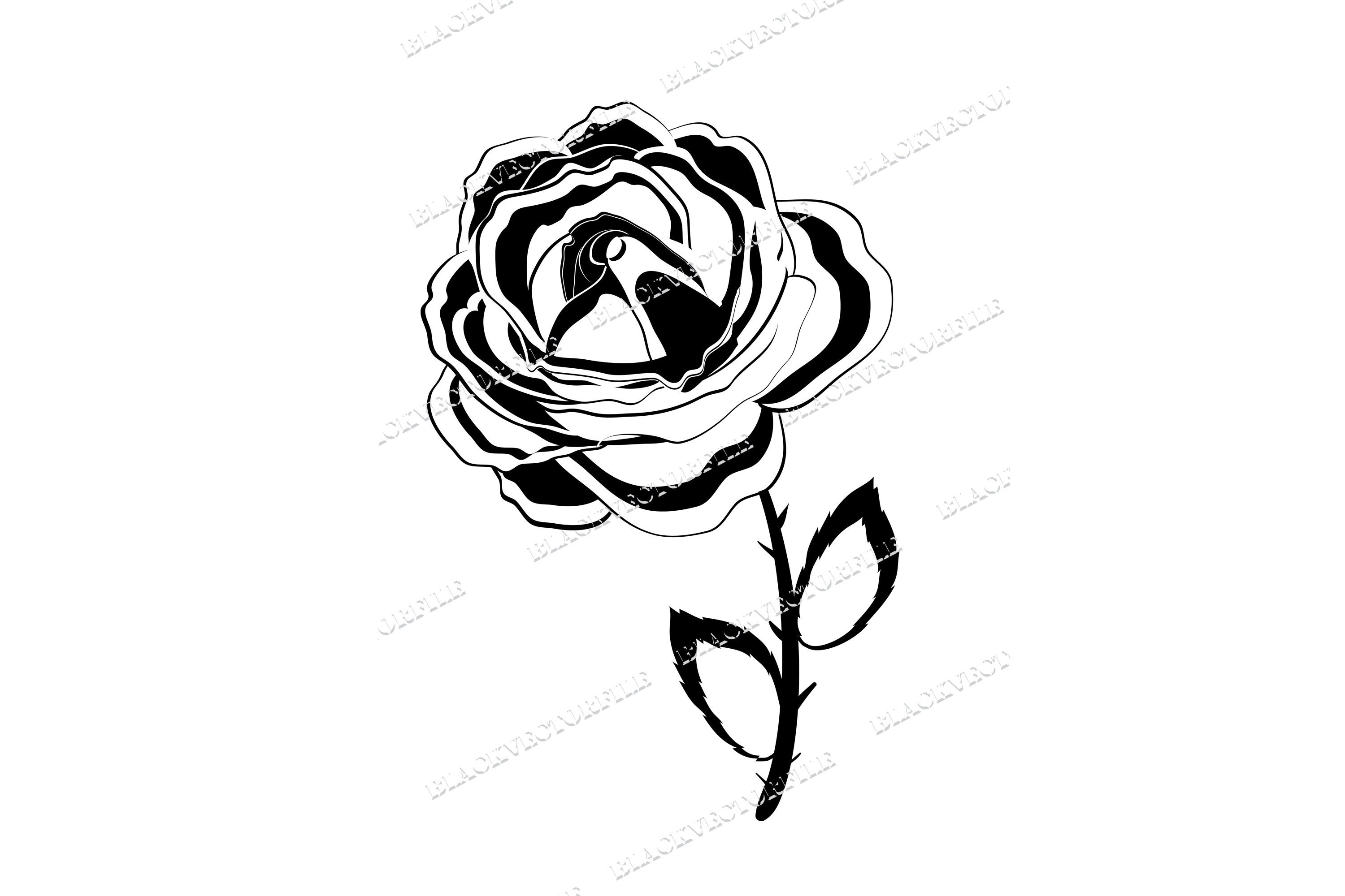 Rose Flower Svg Png and Jpeg Eps Files Instant Download | Etsy