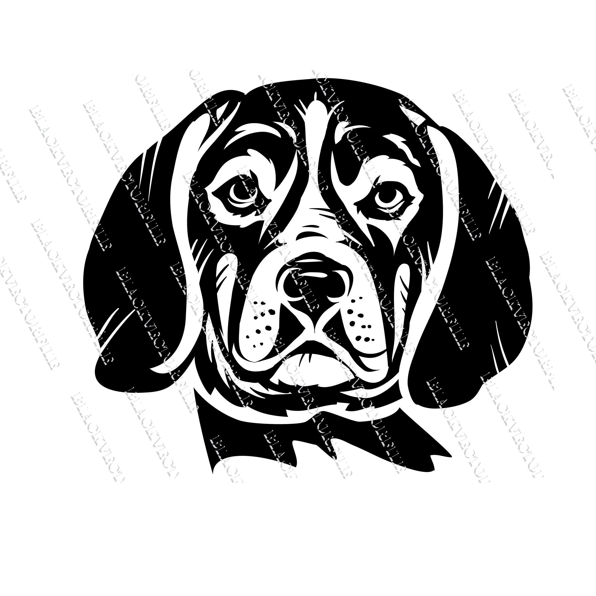 Beagle Dog Svg Png and Jpeg Eps Dxf Files Instant | Etsy