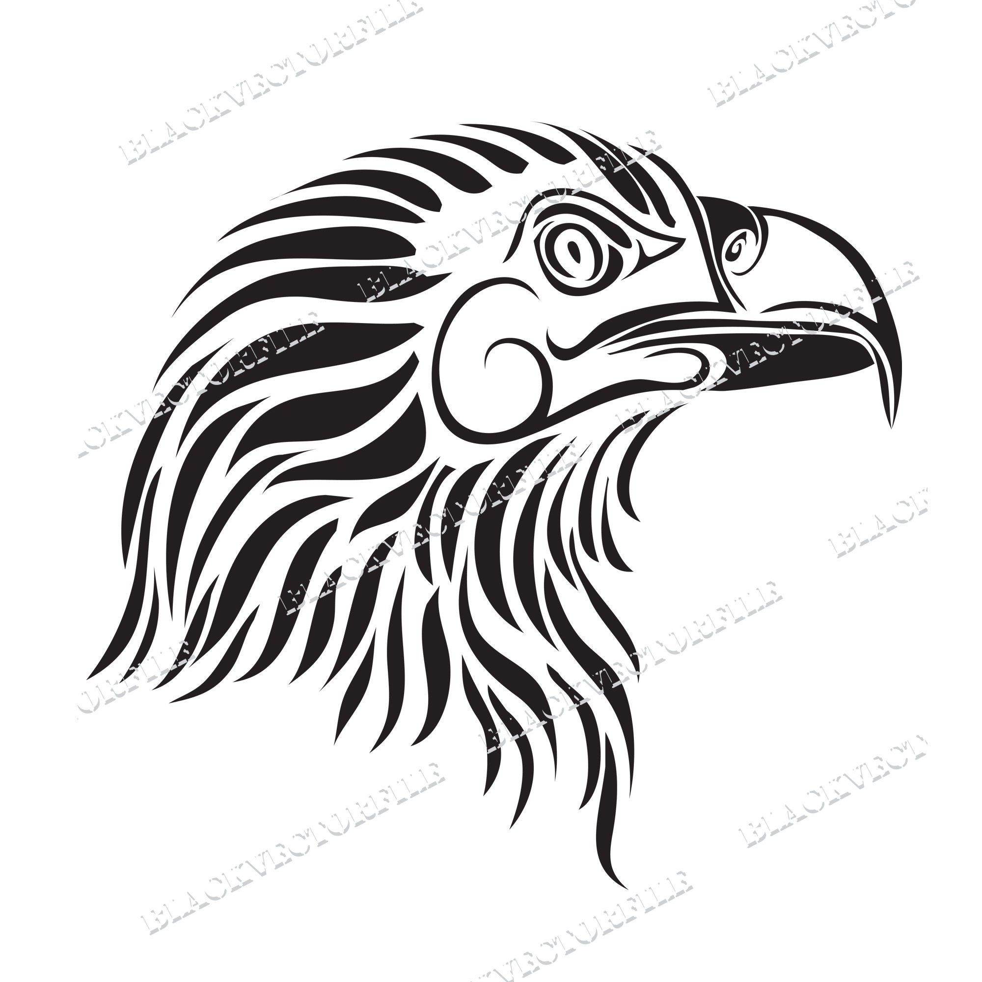 Eagle Svg, Png and Jpeg, Eps Files, Instant Download, Eagle Files ...