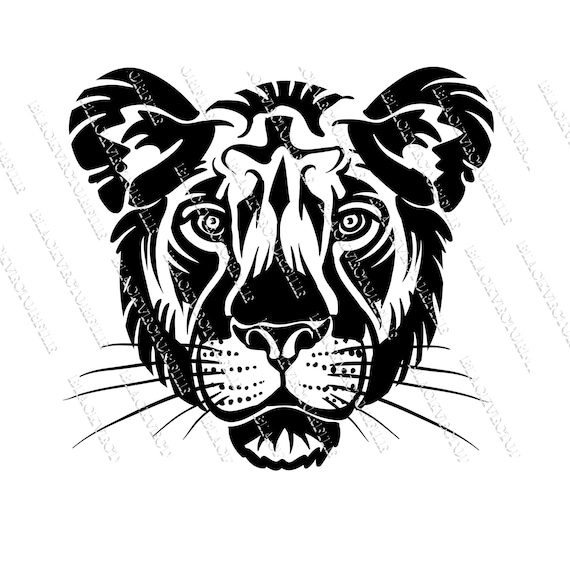 Lioness Head Vector