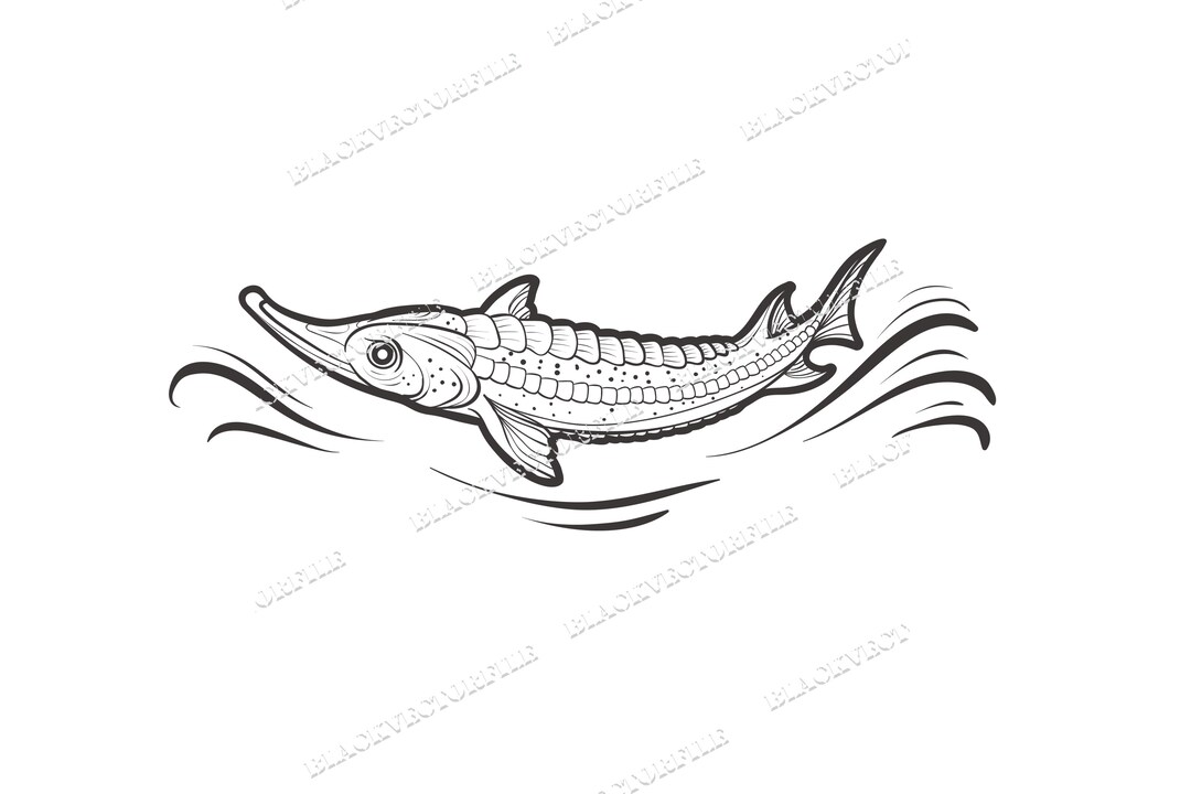 Sturgeon Svg, Png and Jpeg, Eps Files, Instant Download, Sturgeon Files ...