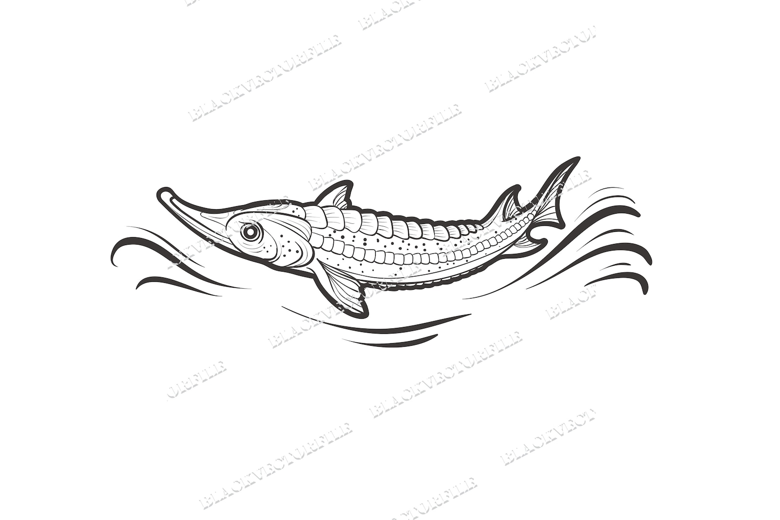 Sturgeon Svg, Png and Jpeg, Eps Files, Instant Download, Sturgeon Files ...