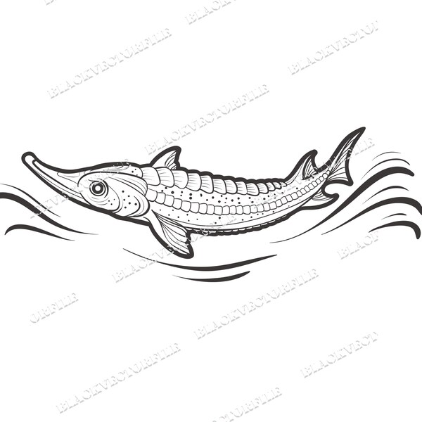 Sturgeon Svg - Etsy
