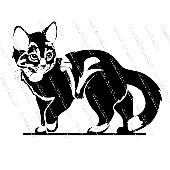 Kitten Svg Png and Jpeg Eps Dxf Files Instant Download - Etsy
