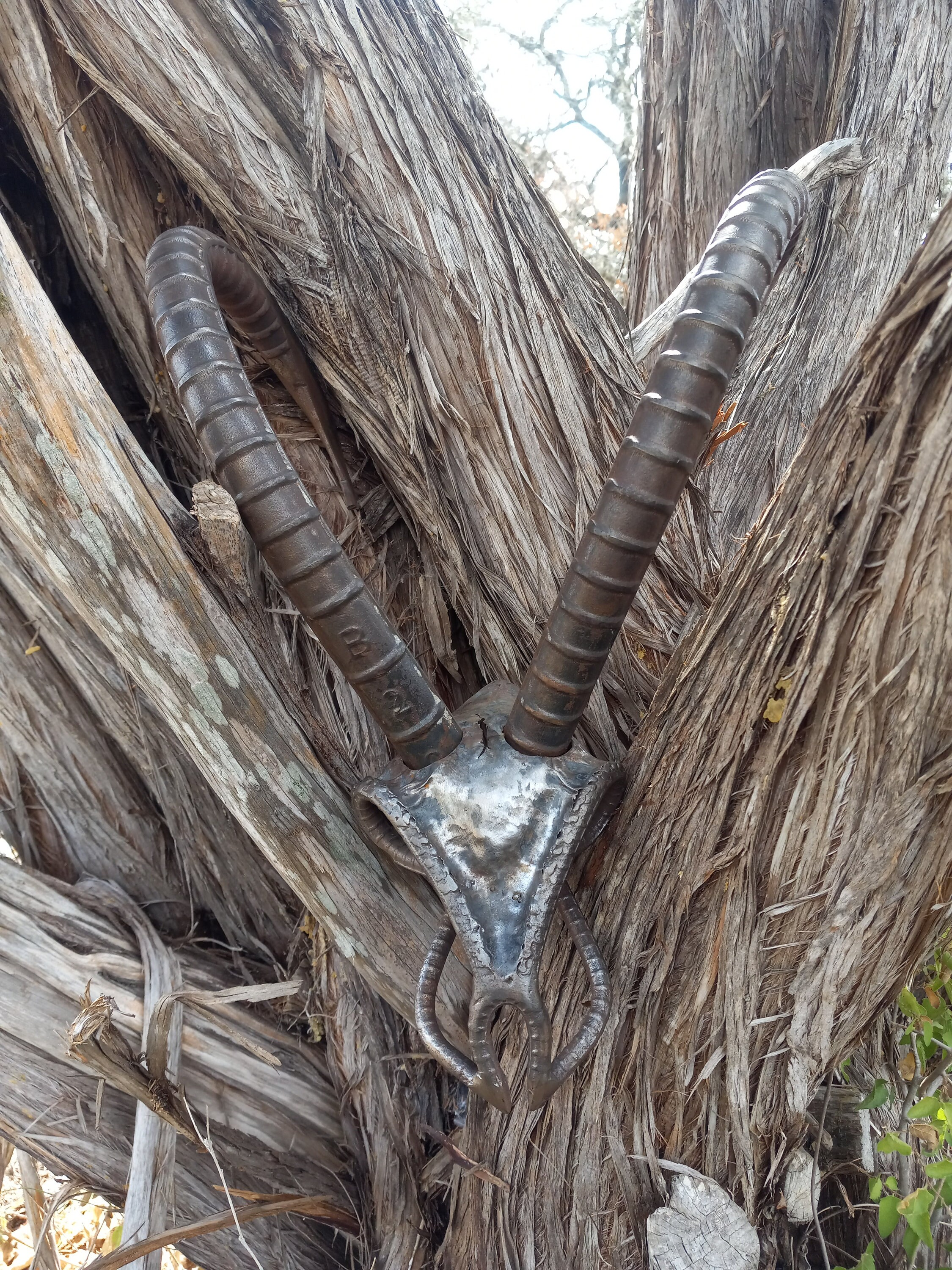 Metal Ibex Head - Etsy