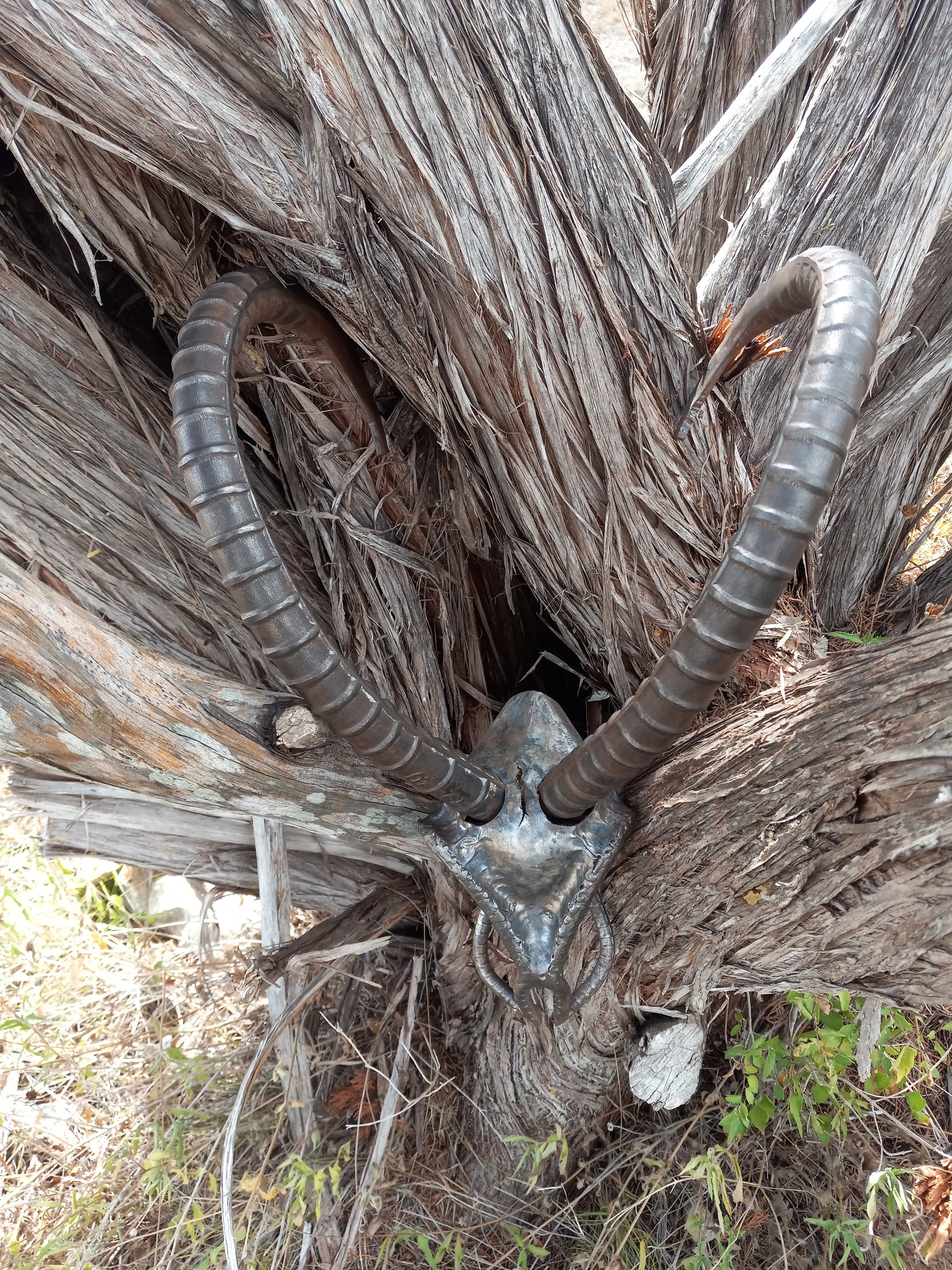 Metal Ibex Head - Etsy