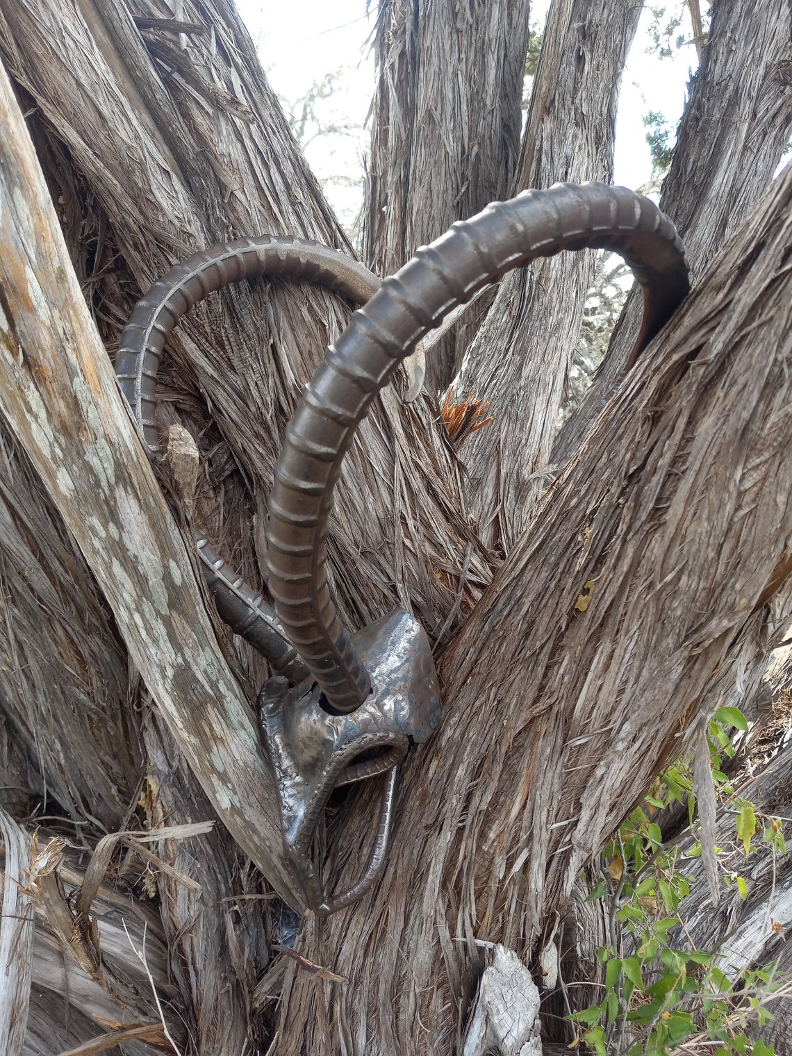 Metal Ibex Head - Etsy