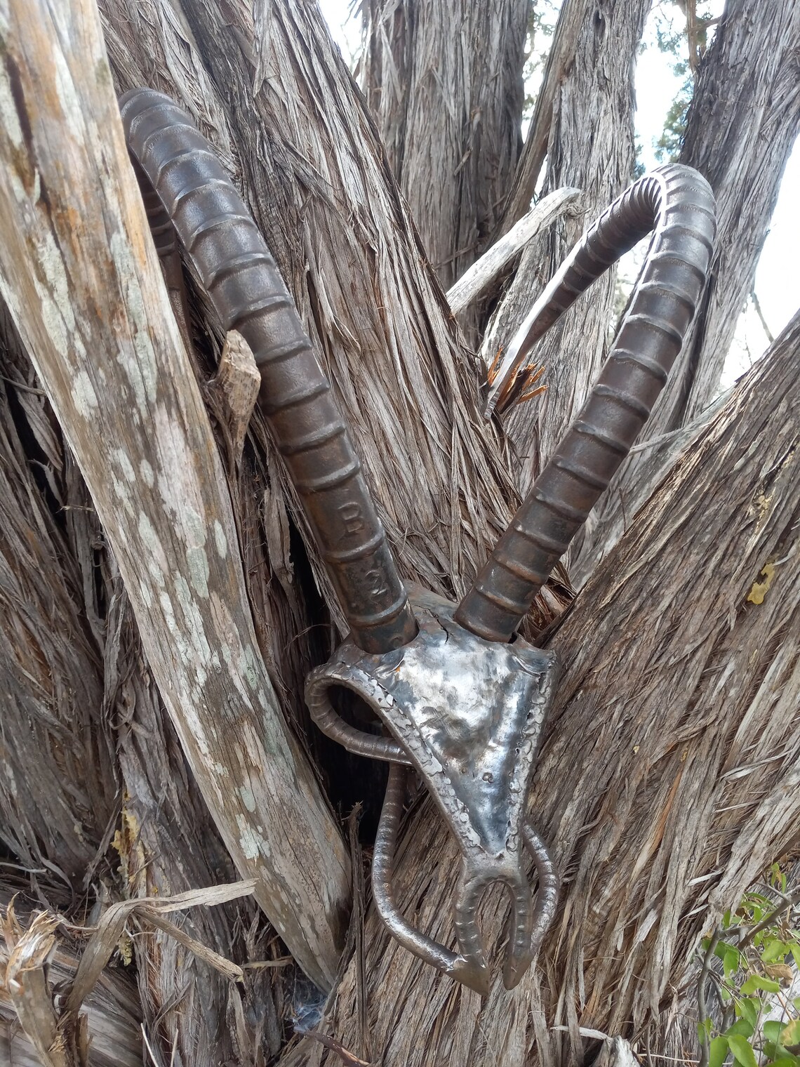 Metal Ibex Head - Etsy