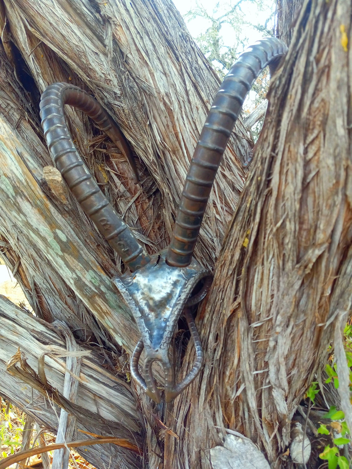 Metal Ibex Head - Etsy