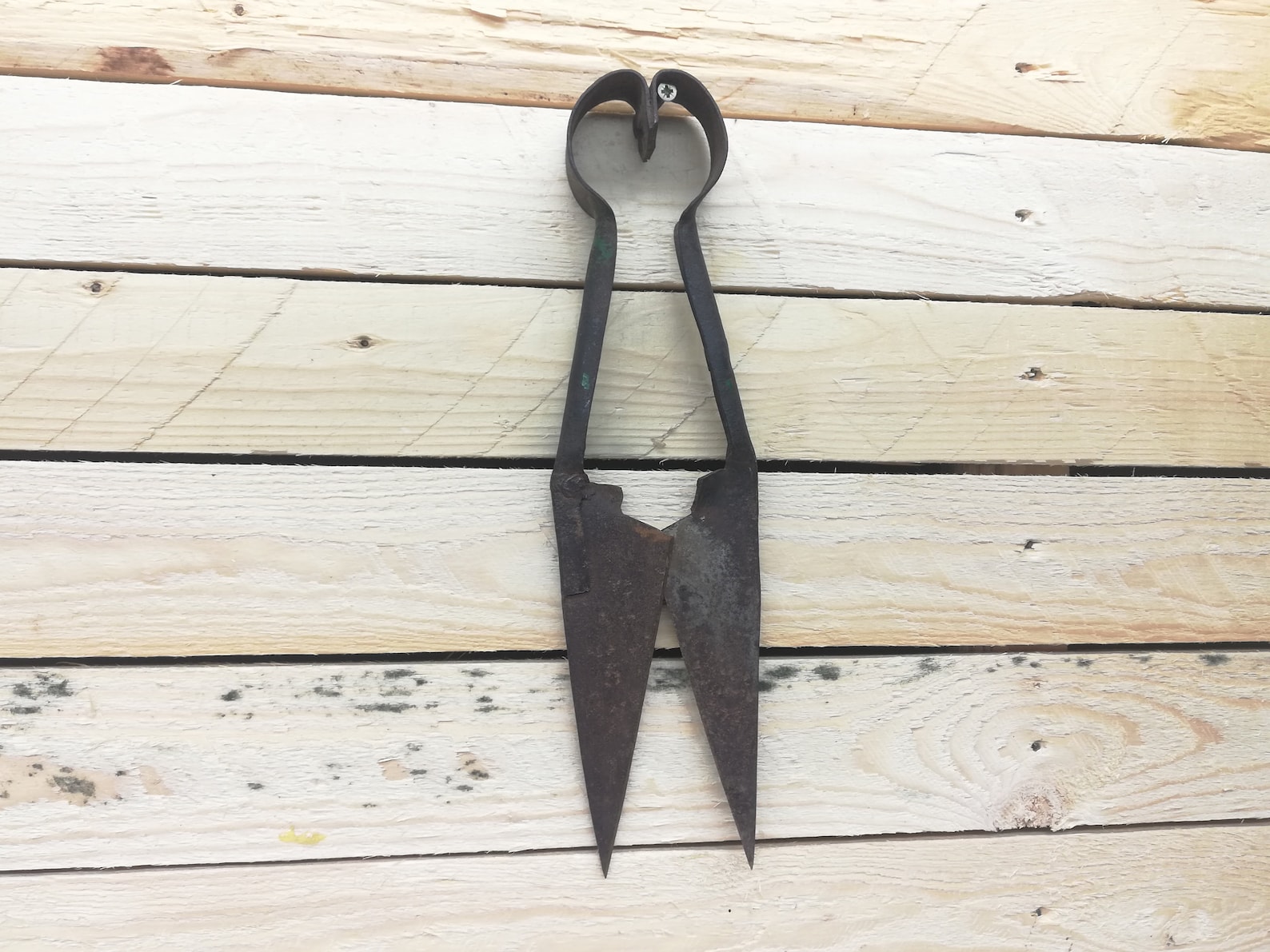 Vintage sheep shears Primitive sheep shearing shears Hand | Etsy