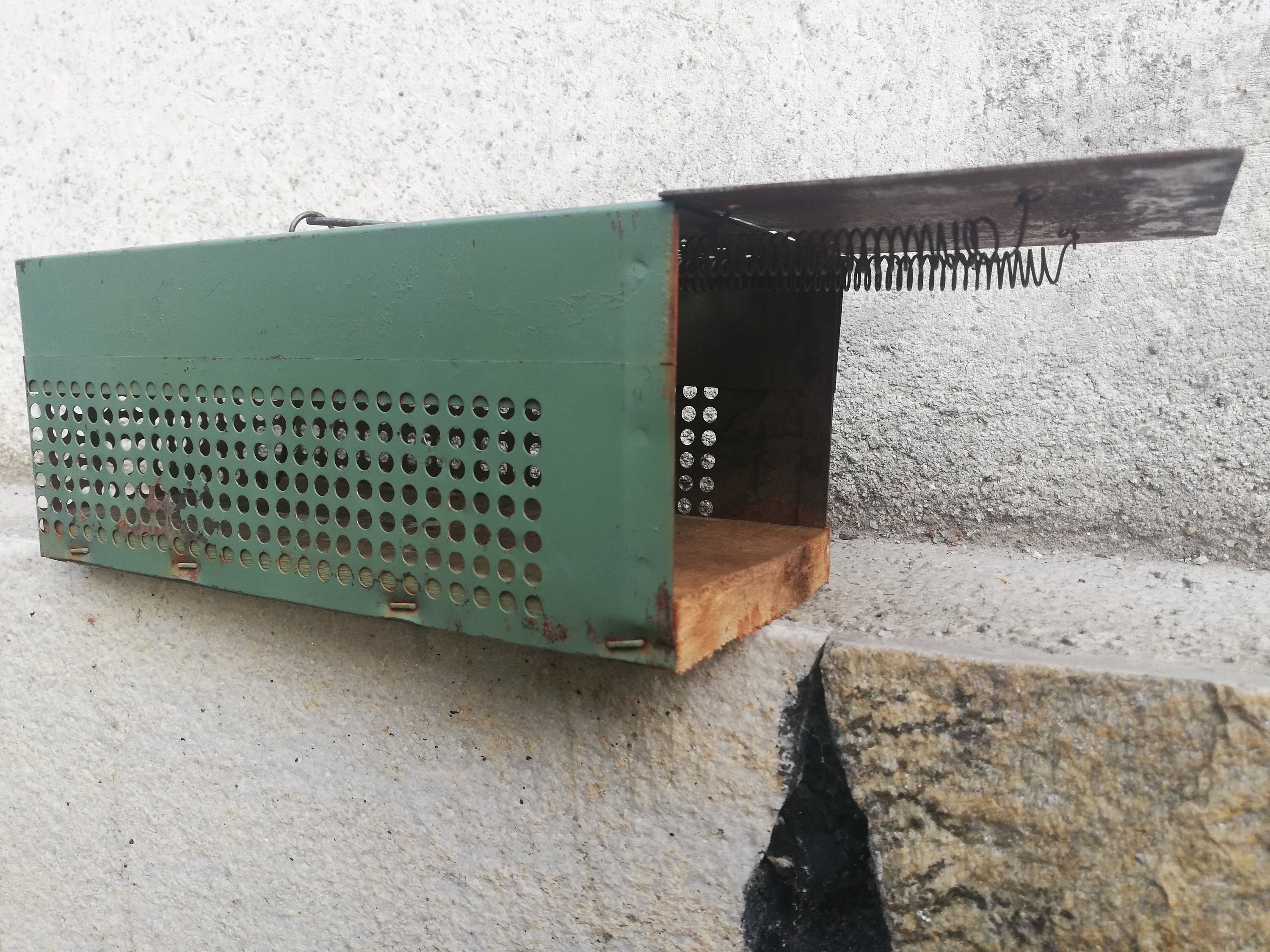 Vintage Mouse Trap 1960's Primitive Tool Catch a Mouse | Etsy