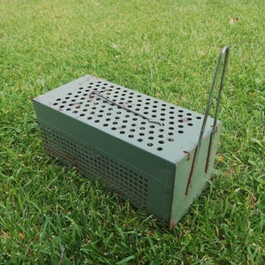Vintage Mouse Trap 1960's Primitive Tool Catch a Mouse Metal Rusty Trap ...